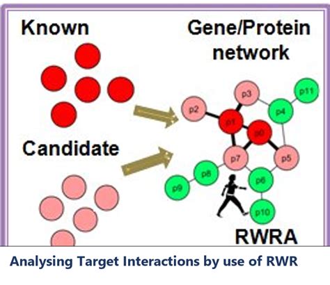 title analyzing target interactions by use of random walk with restart algorithm