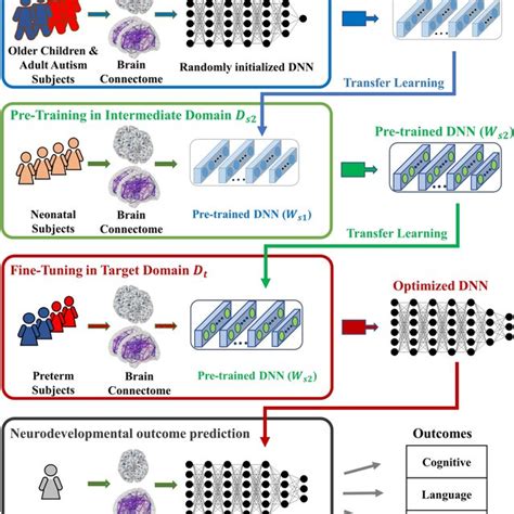top discriminative functional connectomes explored by our multi task download scientific