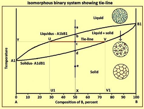 Isomorphous Binary System Showing Tie Line IspatGuru
