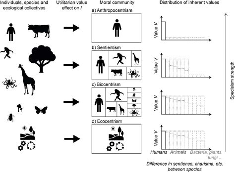 figure 1 from how moral values influence conservation a framework to capture semantic scholar
