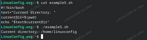 Mastering String Concatenation In Bash Scripting LinuxConfig