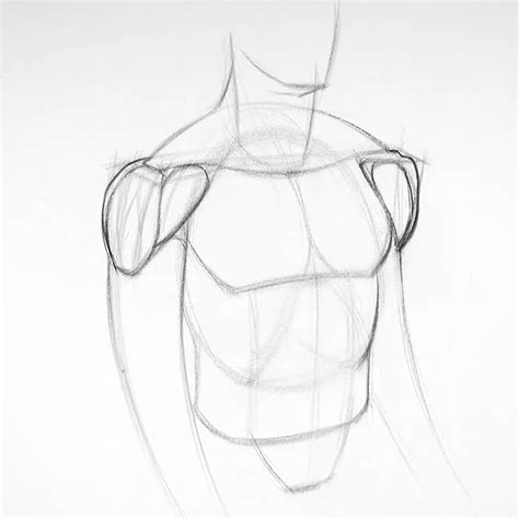 How To Draw The Torso Front View Artofit