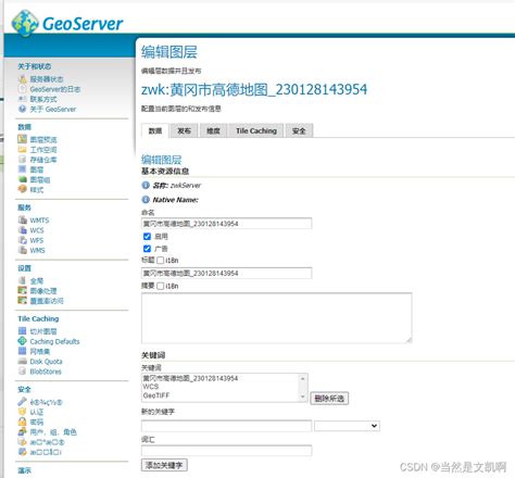 geoserver的使用 geoserver 使用 csdn博客