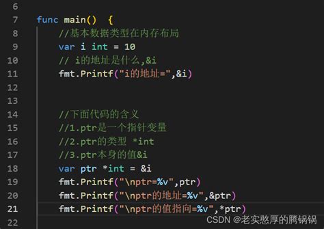 golang 指针 golang取出指针中的值 csdn博客