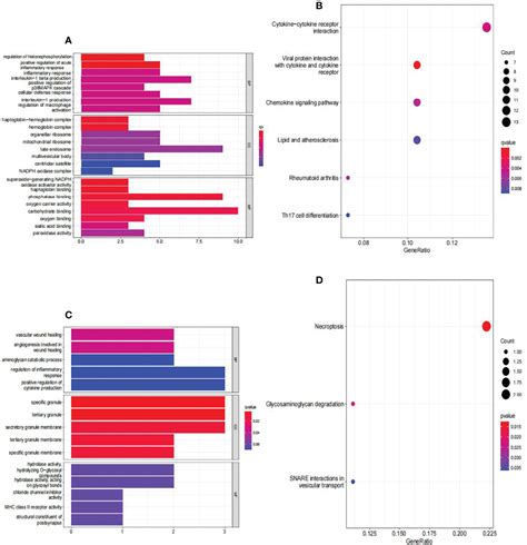 Frontiers Single Cell Sequencing Analysis And Multiple Machine