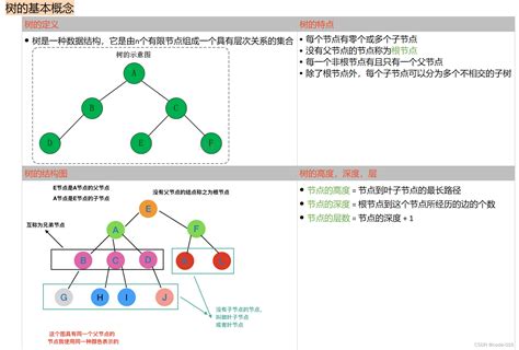 【数据结构】第五章 树与二叉树 csdn博客