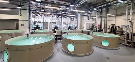 Recirculating Aquaculture System Components