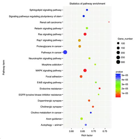 KEGG Functional Enrichment Analysis Of The Predicted Target Genes Of