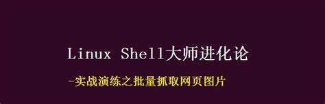 把图片文件读成字符串 linux shell大师进化论 实战演练之批量抓取网页图片 csdn博客