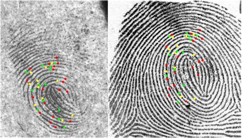 biometrics research group