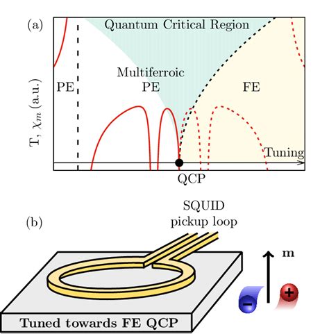 A Phase Diagram Near A Ferroelectric Quantum Critical Point With The