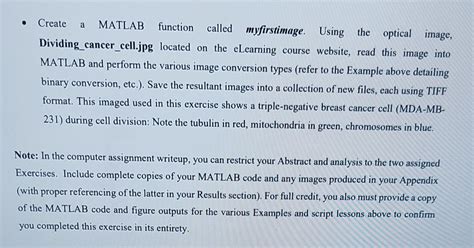 solved a create matlab function called myfirstimage