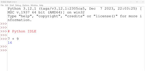 Python IDLE TestingDocs
