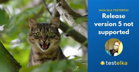 Release Version 5 Not Supported W IntelliJ Testelka Pl