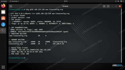 How To Resolve Dns Linux Effortbroad24