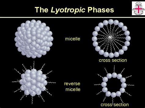 Liquid Crystal Materials Broad Classification Lyotropics Thermotropics