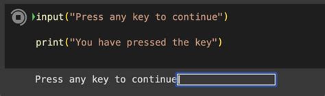Wait For Key Press In Python CodeSpeedy