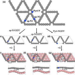 A Schematic Representation Of Different Types Of N Doping