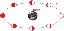 Pwhich Phase Of Moon Is Shown By X In The Given Figure Brimg