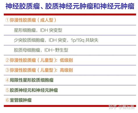 极简医学胶质瘤的新分类 知乎