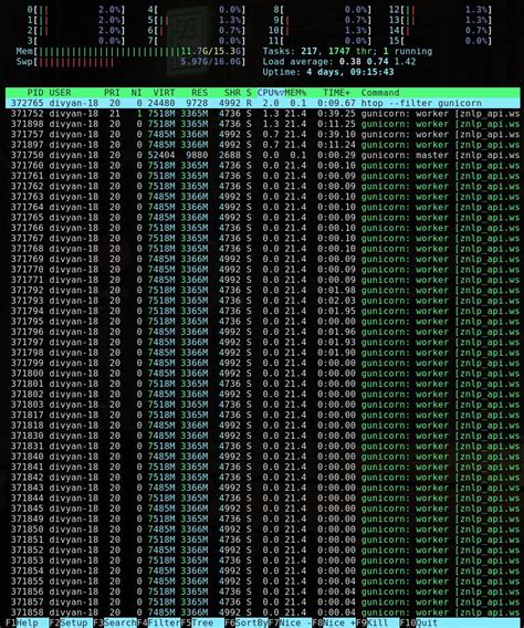 Python Running Gunicorn With 2 Sync Workers Why Do I See Many