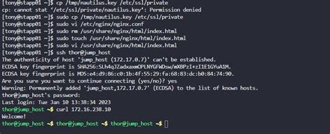 Setting Up SSL For Nginx Task Failed KodeKloud Engineer KodeKloud