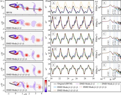 low order modeling of dynamic stall using vortex particle method and dynamic mode decomposition