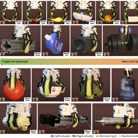 Wide Graspable Objects Range Of The Series Of Grippers A A