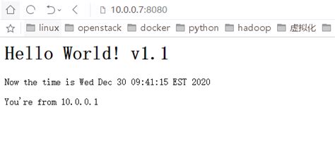 jenkins 部署 java 项目 查看java项目中是否引用到jenkins csdn博客