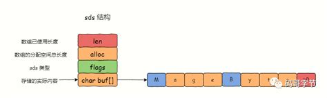 图解 redis string 底层数据结构 sds 与计数器实战 51cto