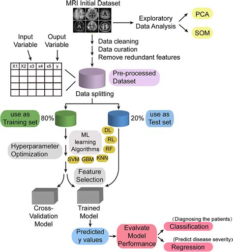 Frontiers Brain Structurefunction Coupling Associated With Cognitive