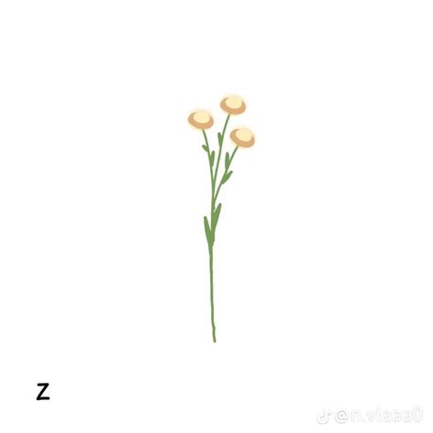Pin Auf Random Stuff In 2024