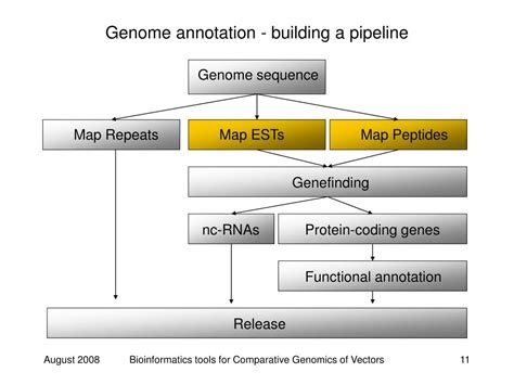 what is annotate genome
