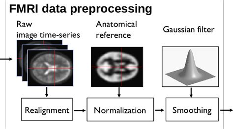 12 fmri data preprocessing pipeline [35 81] download scientific diagram