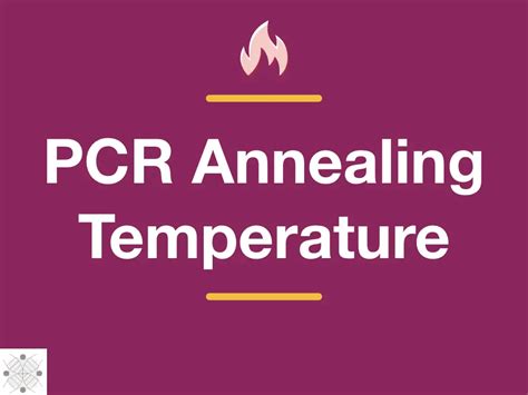 What Is Annealing Temperature In PCR How To Calculate And Set It
