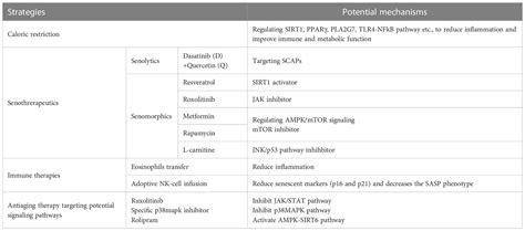 Frontiers Adipose Tissue Aging Is Regulated By An Altered Immune System