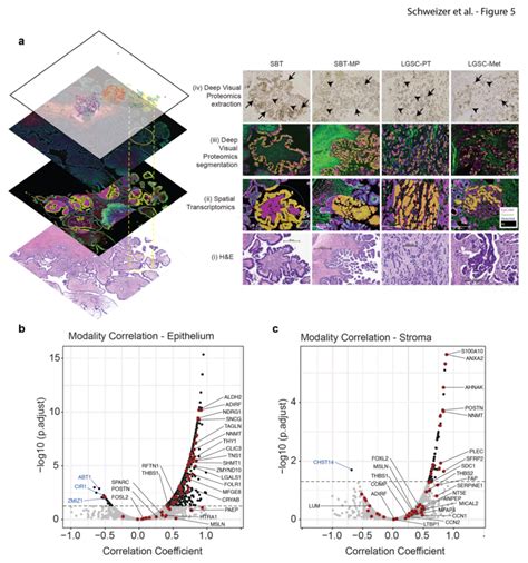 Integration Of Spatial Transcriptomics And Proteomics A Multi Layer