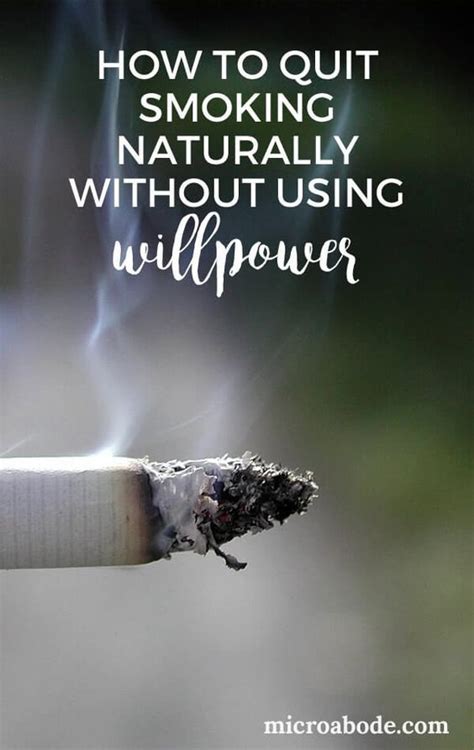 How To Quit Smoking Naturally Without Using Willpower I Smoked For 25 Years And This Method