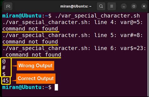 Bash Variable Naming Conventions In Shell Script 6 Rules