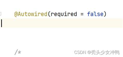 报错解决 org springframework beans factory annotation Autowired required