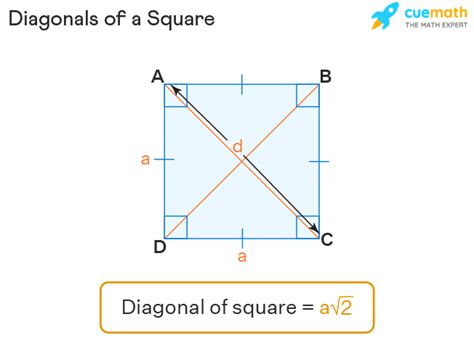 Square Shape Properties Formula Definition