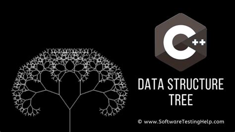 Trees In C Basic Terminology Traversal Techniques C Tree Types
