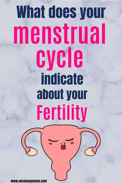 Understanding Your Cycle And Calculating Your Fertile Window