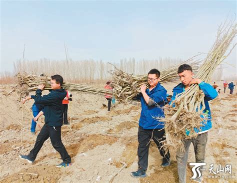 强信心 起好步 开新局 植树播绿正当时 胡杨网2023 兵团胡杨网 新疆兵团新闻门户