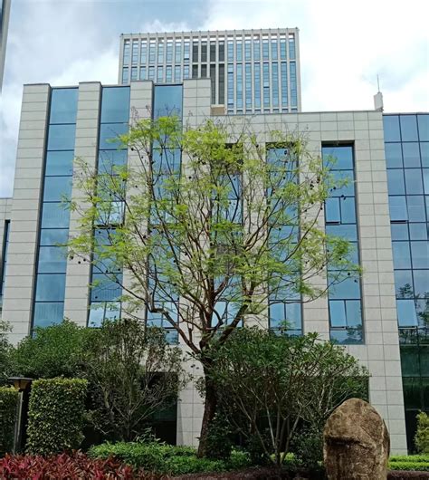 python小知识 python作用域和闭包 python aiweker 人工智能微客 infoq写作社区