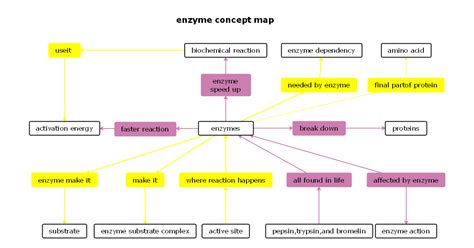 Biology Concept Map Complete Guide With 30 Examples EdrawMind