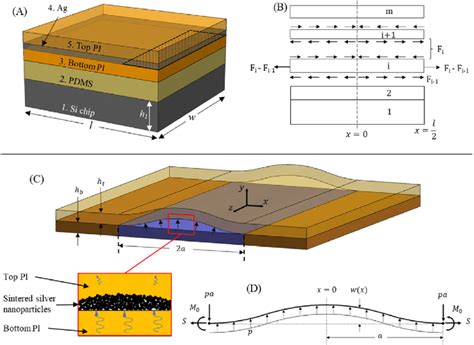 thermoelastic and vapor driven delamination model a b the download scientific diagram