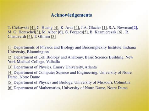 ppt three dimensional simulation of morphogenesis powerpoint presentation id 1167782