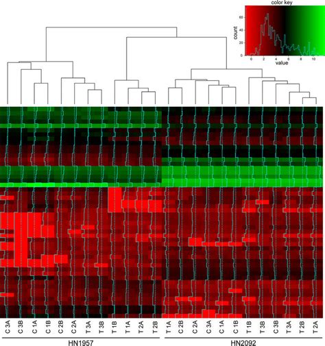 Unsupervised Hierarchical Cluster Analysis Of The Expression Levels Of