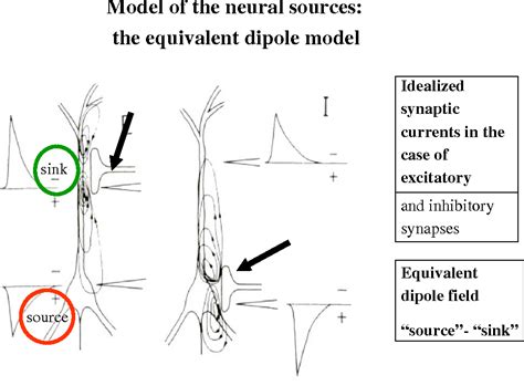 figure 1 from functional localization of brain sources using eeg and or meg data volume